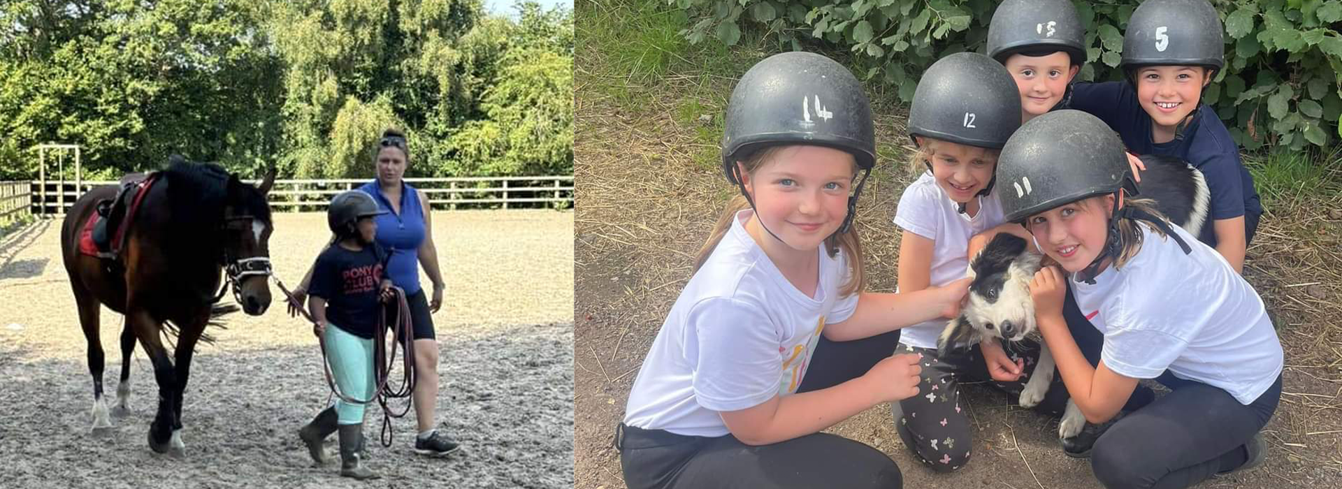 Welcome to Quarry Farm Stables